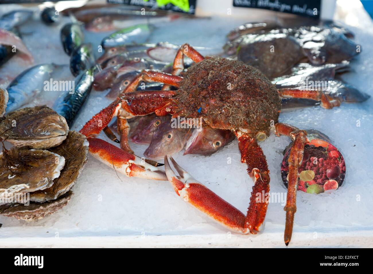 France Somme Baie de Somme Le Crotoy décrochage du poisson avec une ...