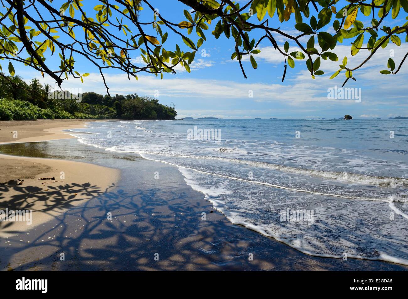 Panama Chiriqui province golfe de Chiriqui Parc Marin National Isla ...