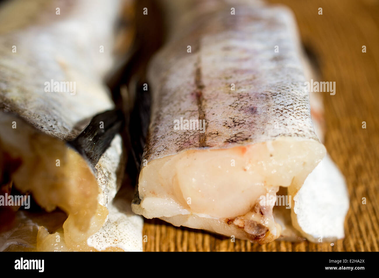 Walleye Fish Banque d'image et photos - Alamy