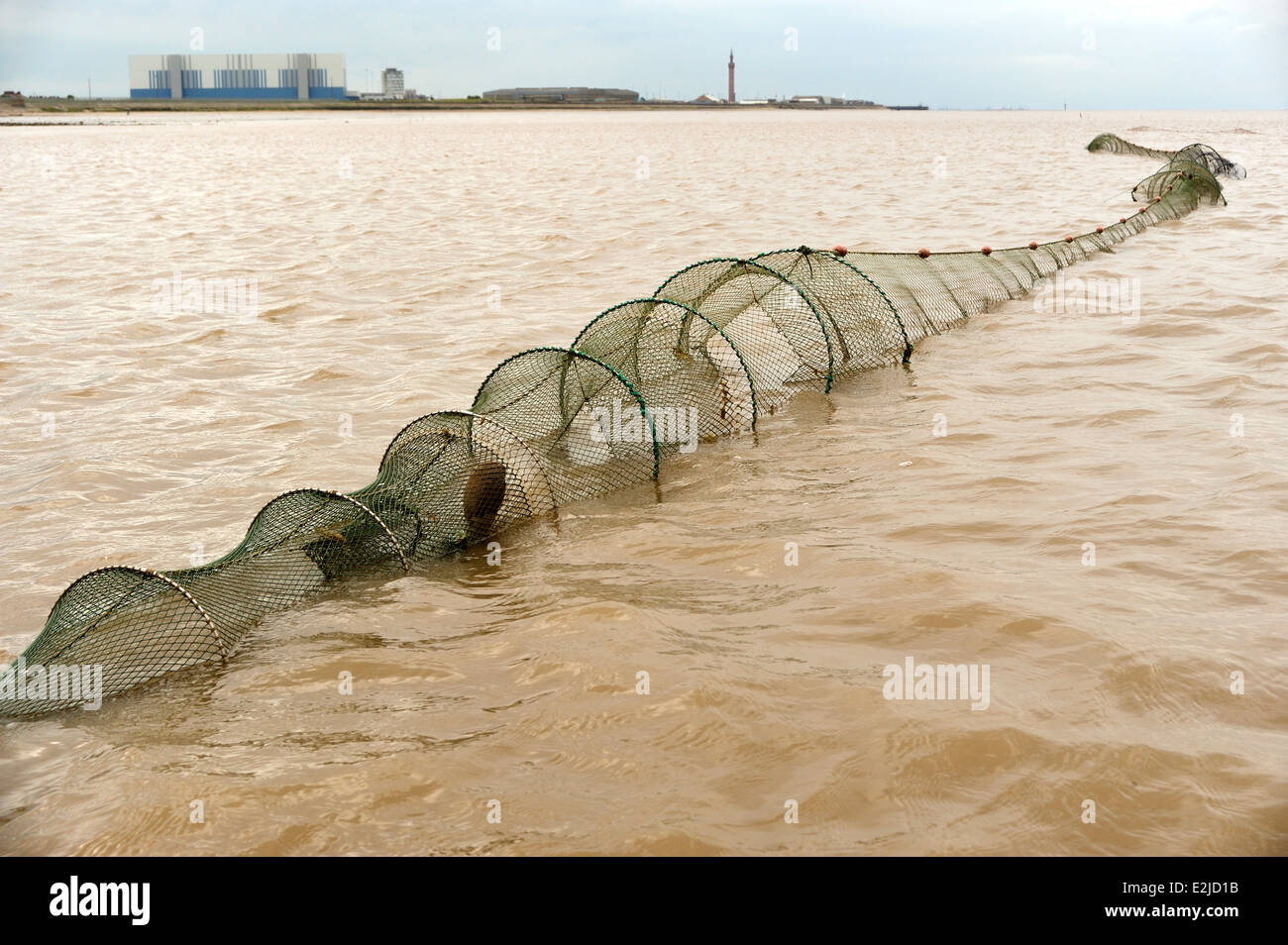 La pêche traditionnelle pour semelles et de l'anguille à l'aide de ...