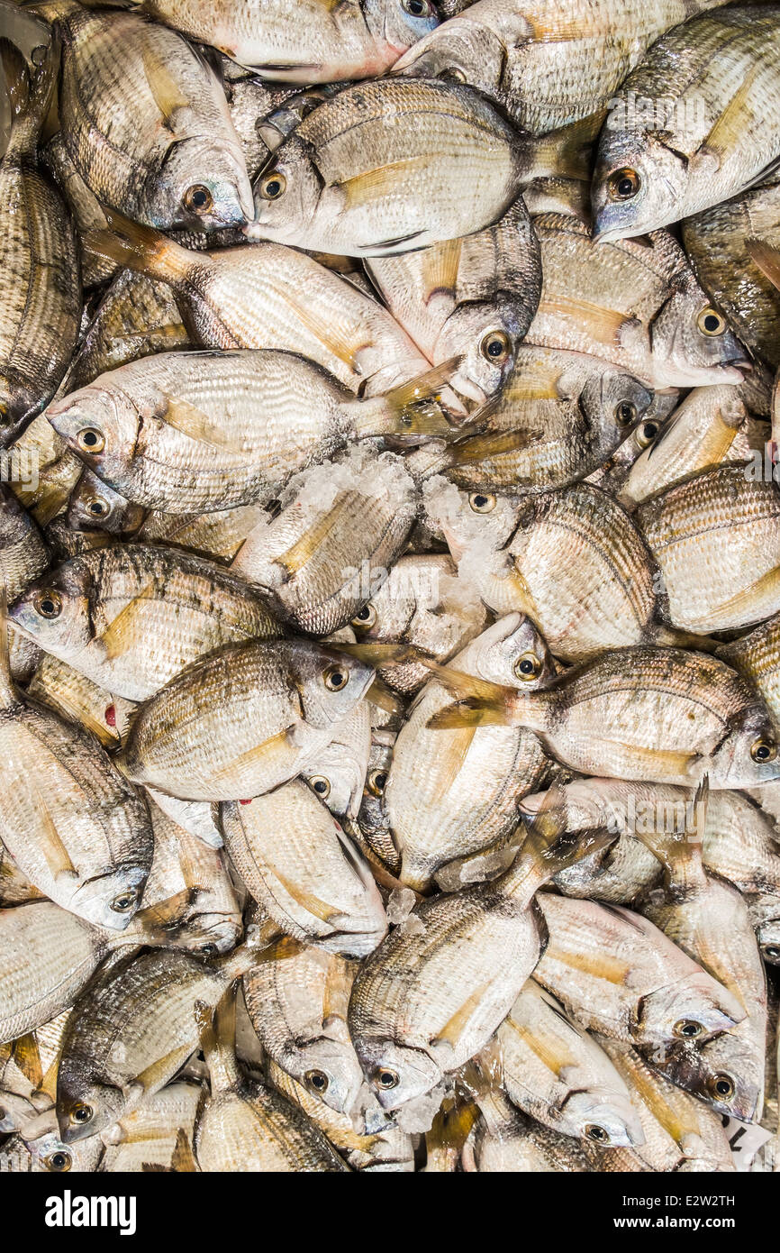 Affichage de poisson comestible Banque de photographies et d’images à ...