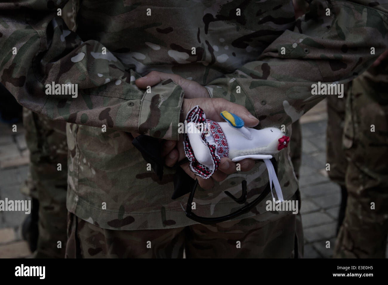 Azov bataillon Banque de photographies et d’images à haute résolution - Alamy