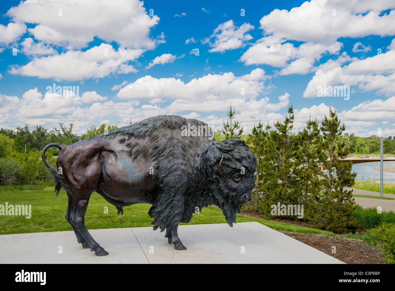 Calgary canada alberta bison buffle sculpture Banque de photographies ...