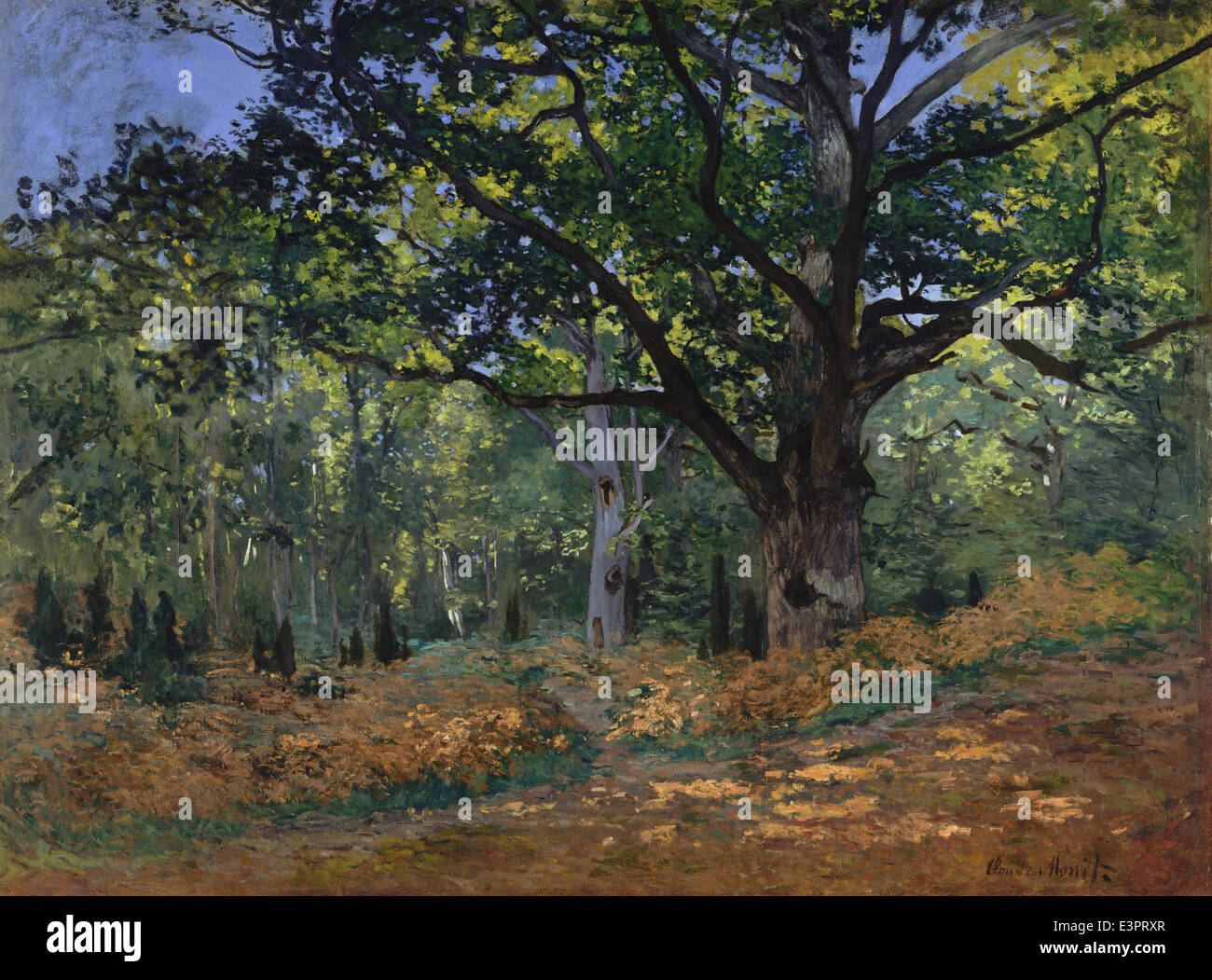 Claude monet fontainebleau forest 1865 Banque de photographies et d ...