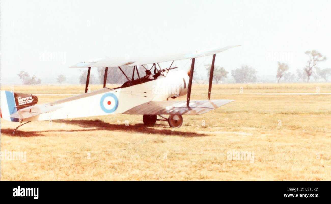 Sopwith strutter Banque de photographies et d’images à haute résolution ...