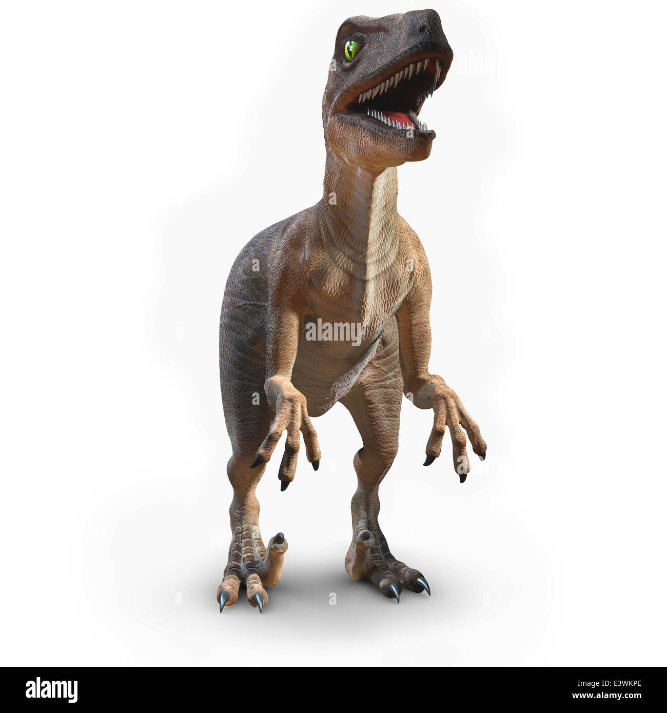 3d velociraptor dinosaur front view Banque de photographies et d’images ...