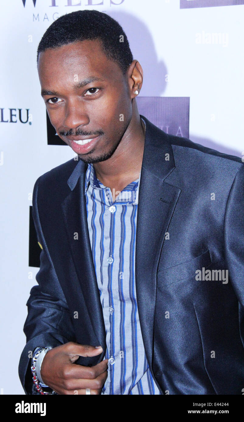 Wiles magazine pre grammy party Banque de photographies et d’images à ...