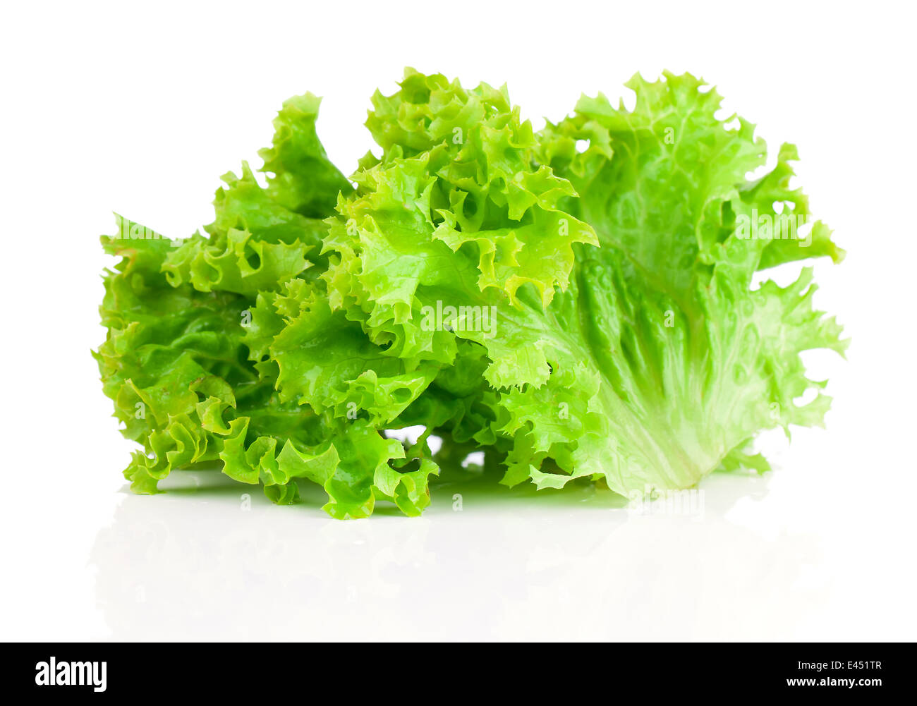 Feuilles de salade de laitue Banque de photographies et d’images à ...