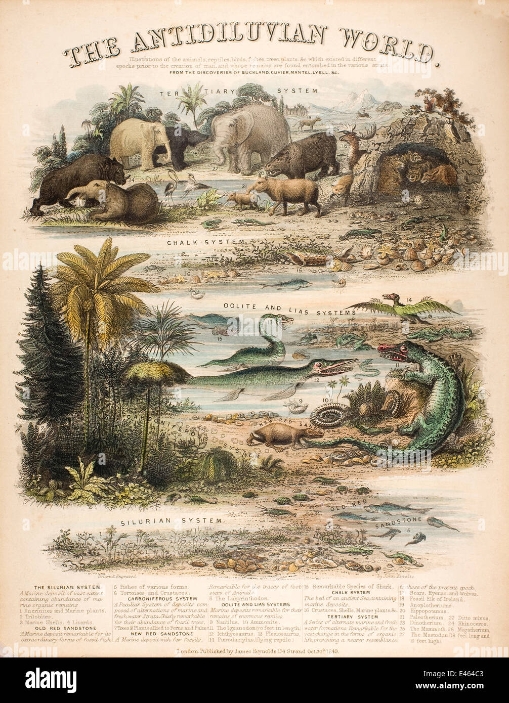 Une rare illustration grand format britannique contemporain avec ...