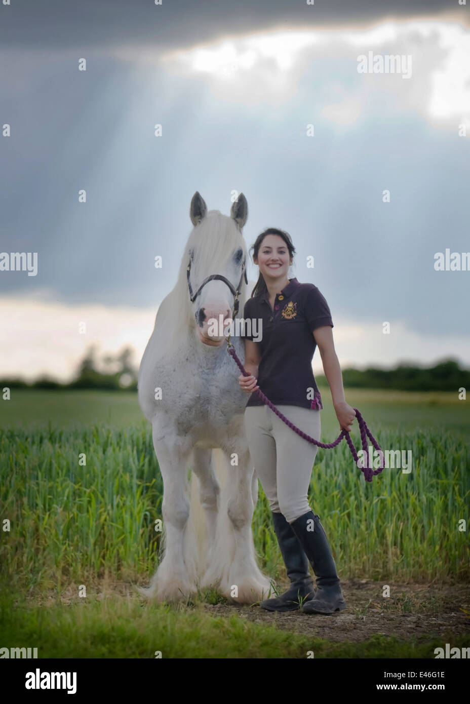 Cheval bleu Banque de photographies et d’images à haute résolution - Alamy