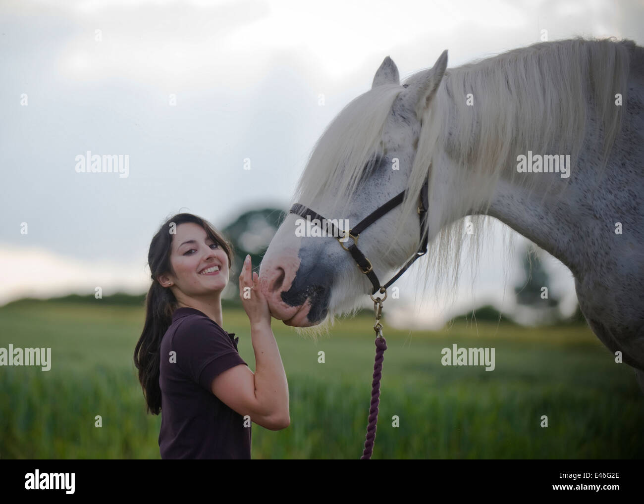 Cheval bleu Banque de photographies et d’images à haute résolution - Alamy