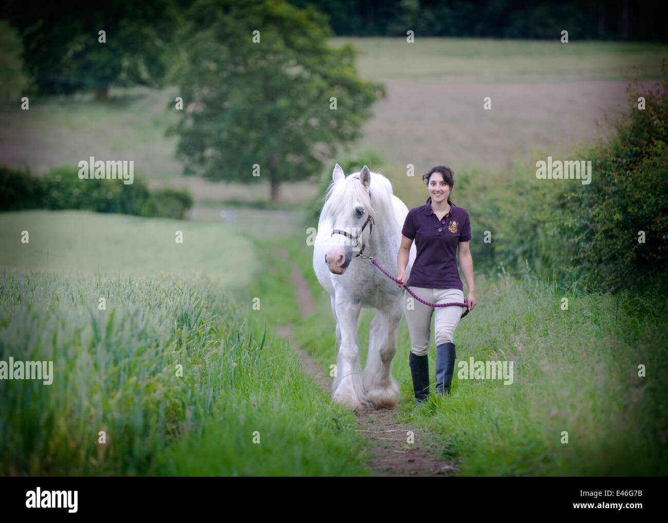 Cheval bleu Banque de photographies et d’images à haute résolution - Alamy