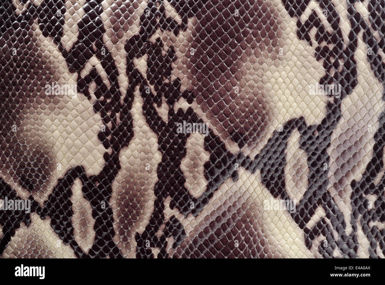 Motif peau de serpent Banque de photographies et d’images à haute ...
