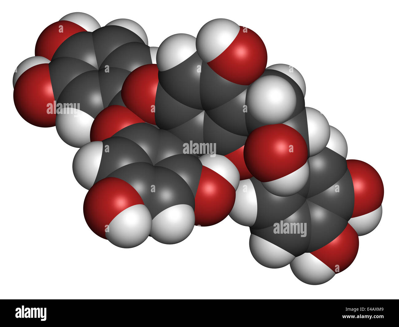 A2 (procyanidin proanthocyanidine A2, PAC A2) molécule. Présente dans ...