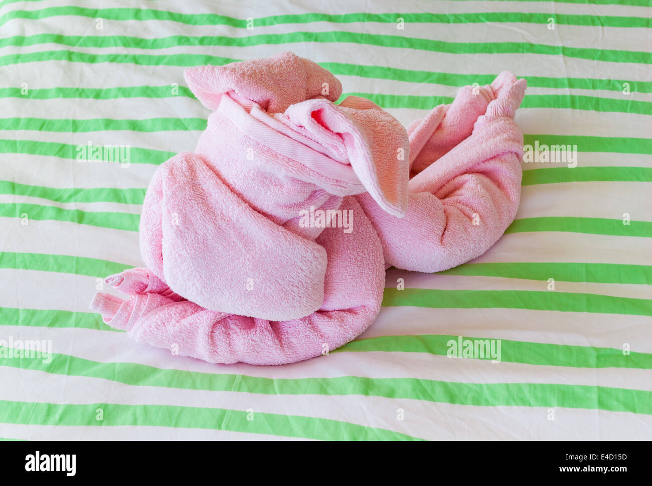 Chien rose Banque de photographies et d’images à haute résolution - Alamy