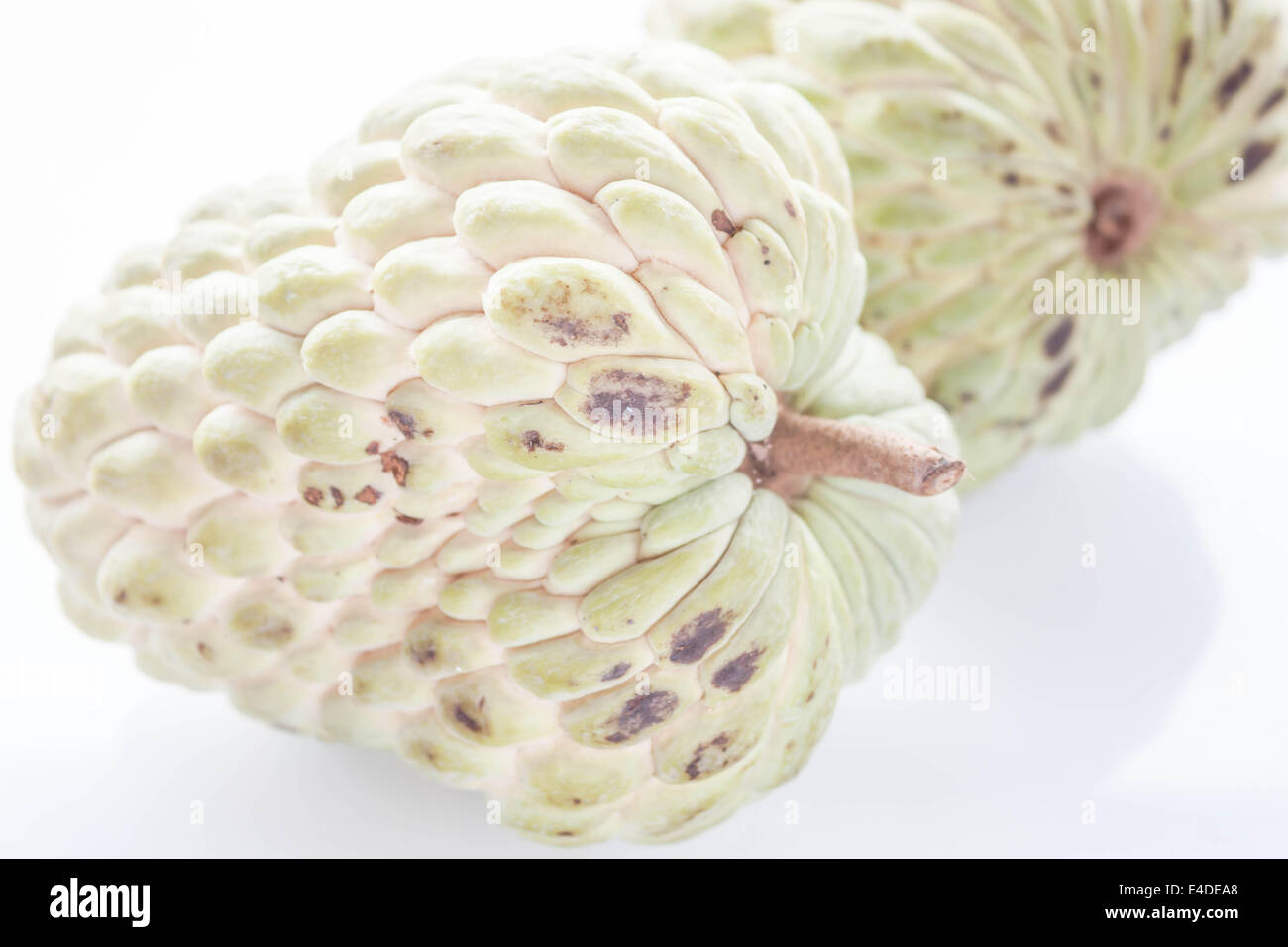 Pomme à sucre Banque de photographies et d’images à haute résolution ...