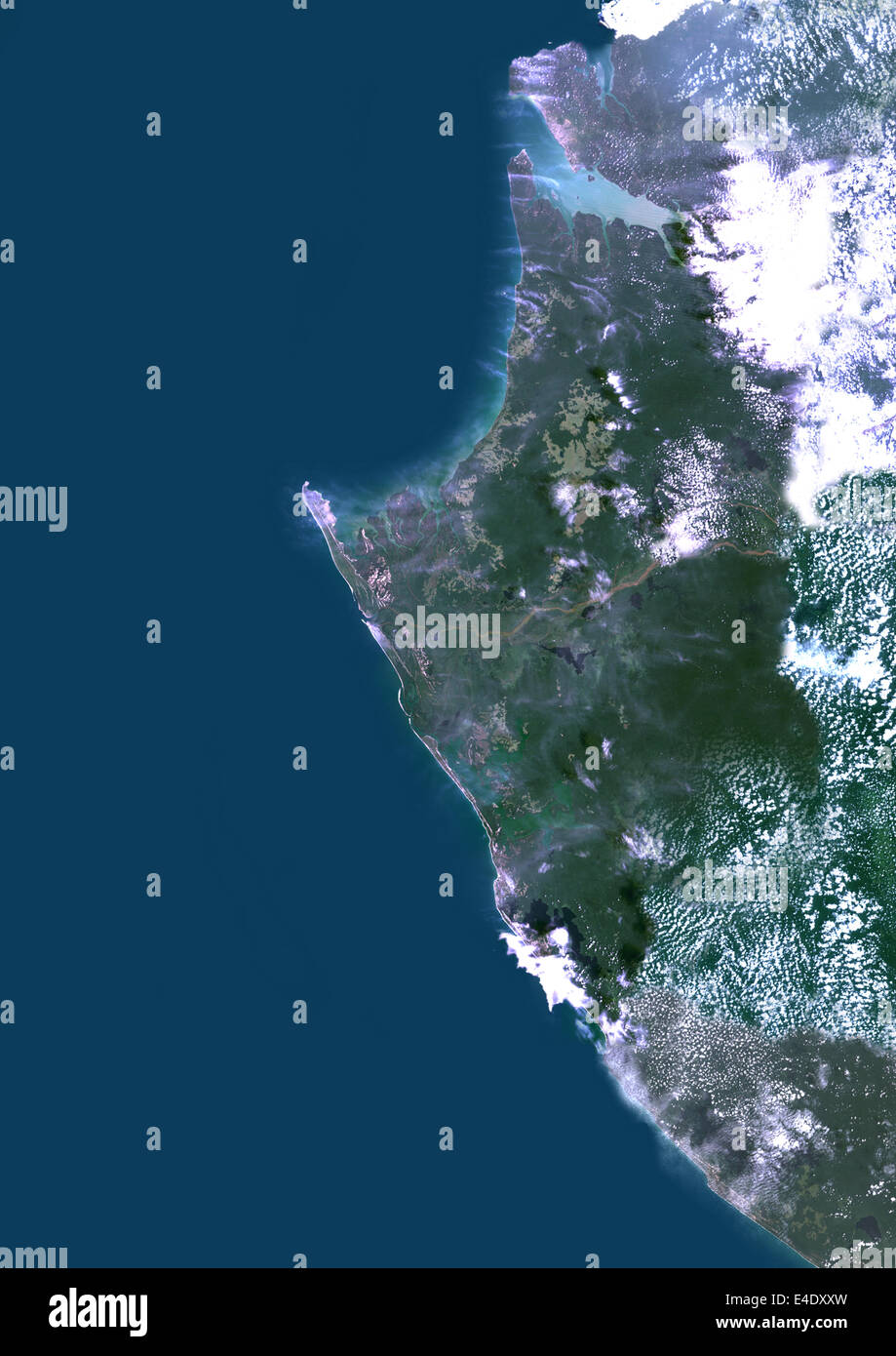 Delta du Fleuve Ogooue, Gabon, True Color Image satellite. La couleur ...