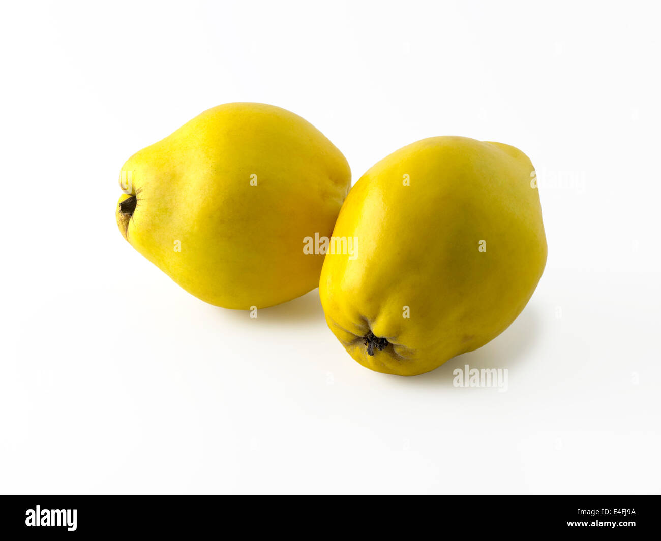 Coing entier Banque de photographies et d’images à haute résolution - Alamy