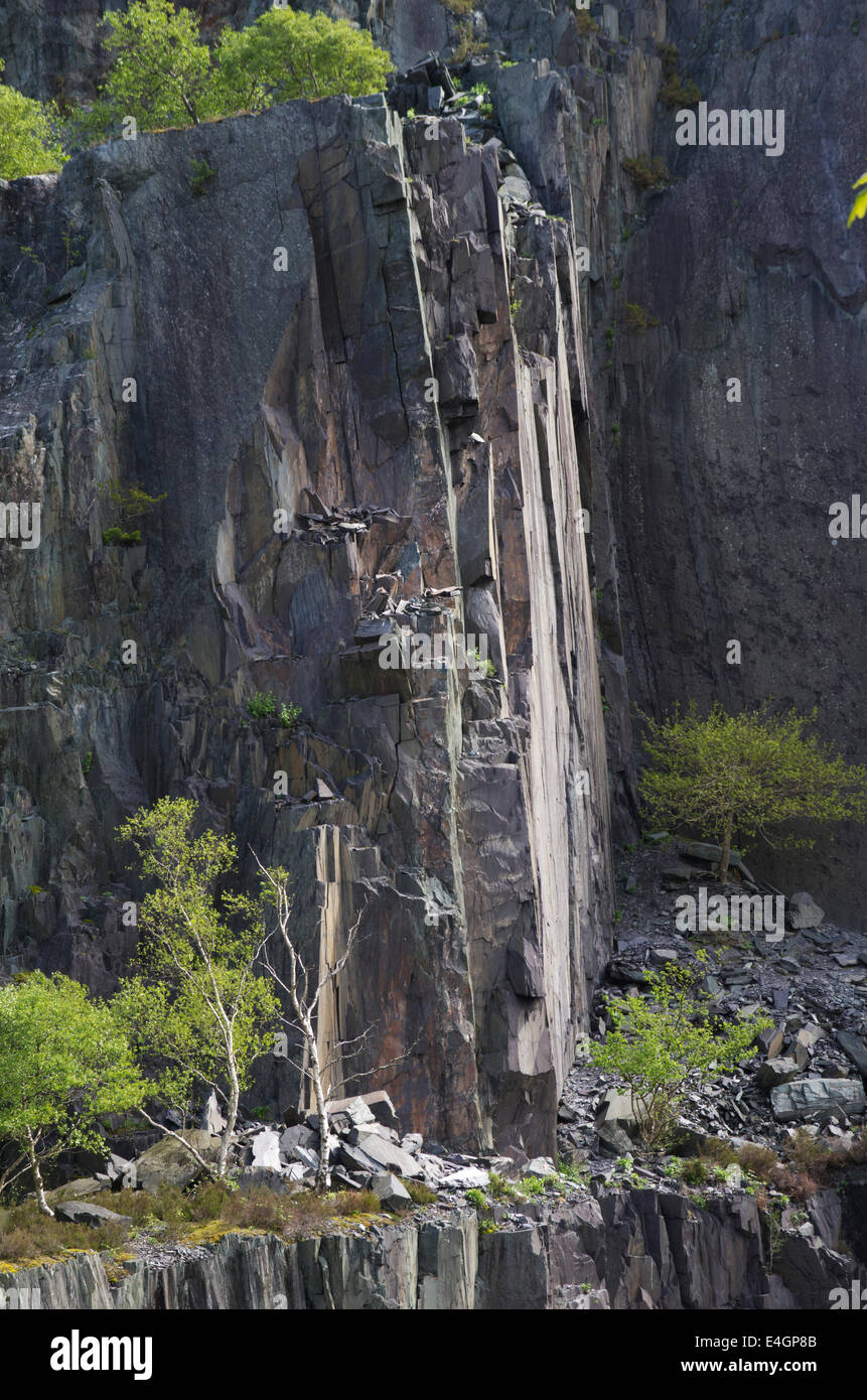 Parc pays padarn Banque de photographies et d’images à haute résolution ...