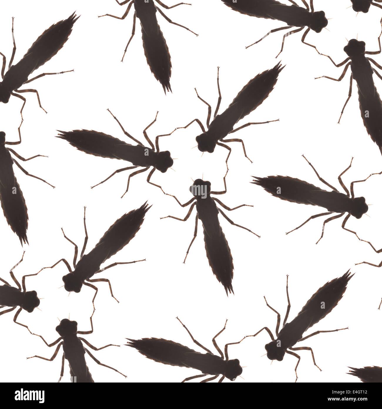 Peur et peur phobie des insectes pattern faites par les larves de ...