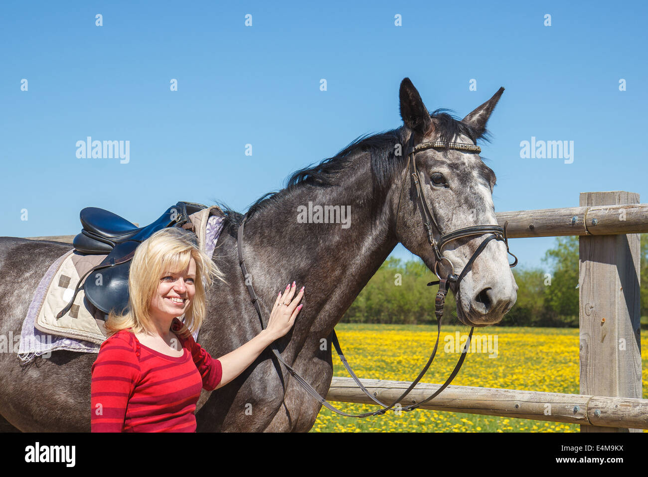 Cheval et femme Banque de photographies et d’images à haute résolution ...