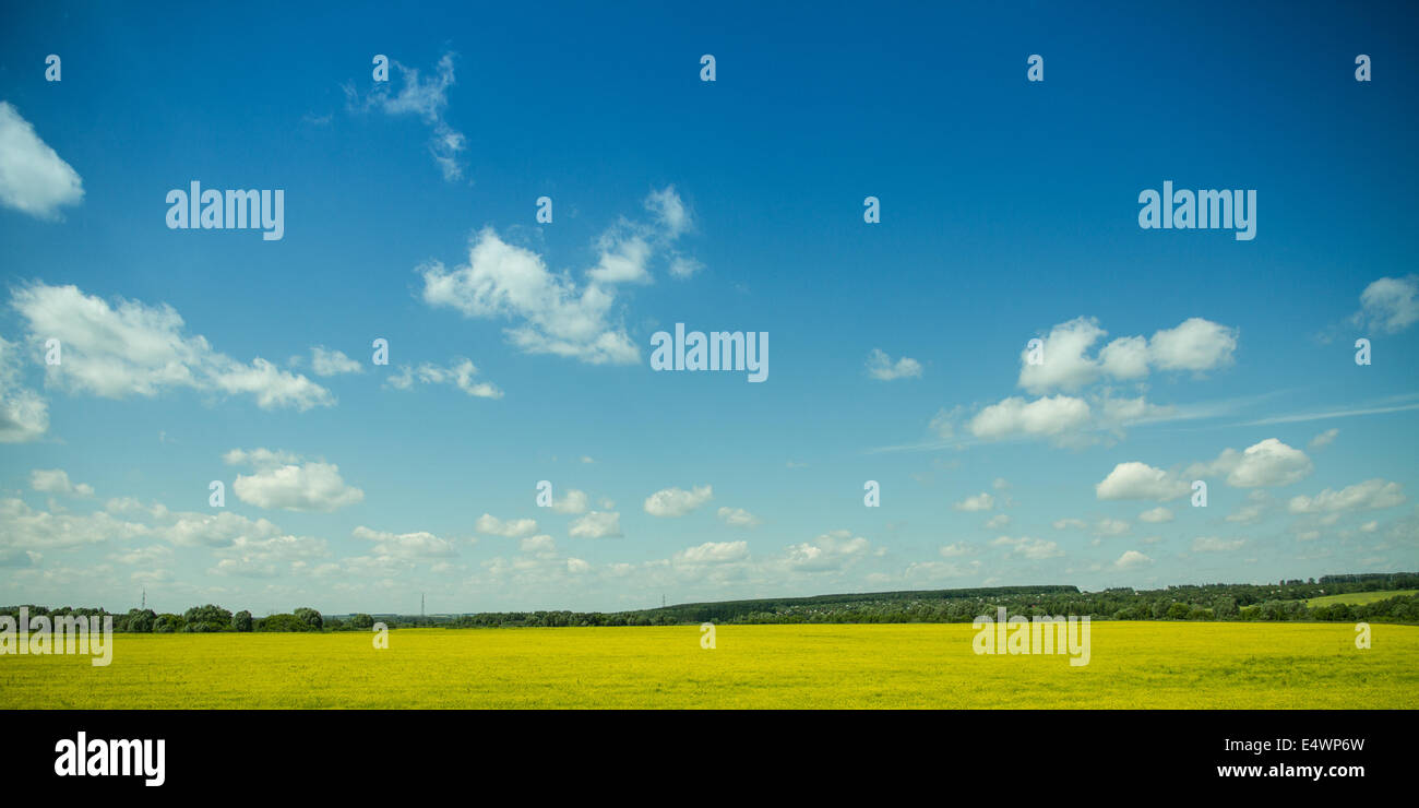 Lucerne field Banque de photographies et d’images à haute résolution ...