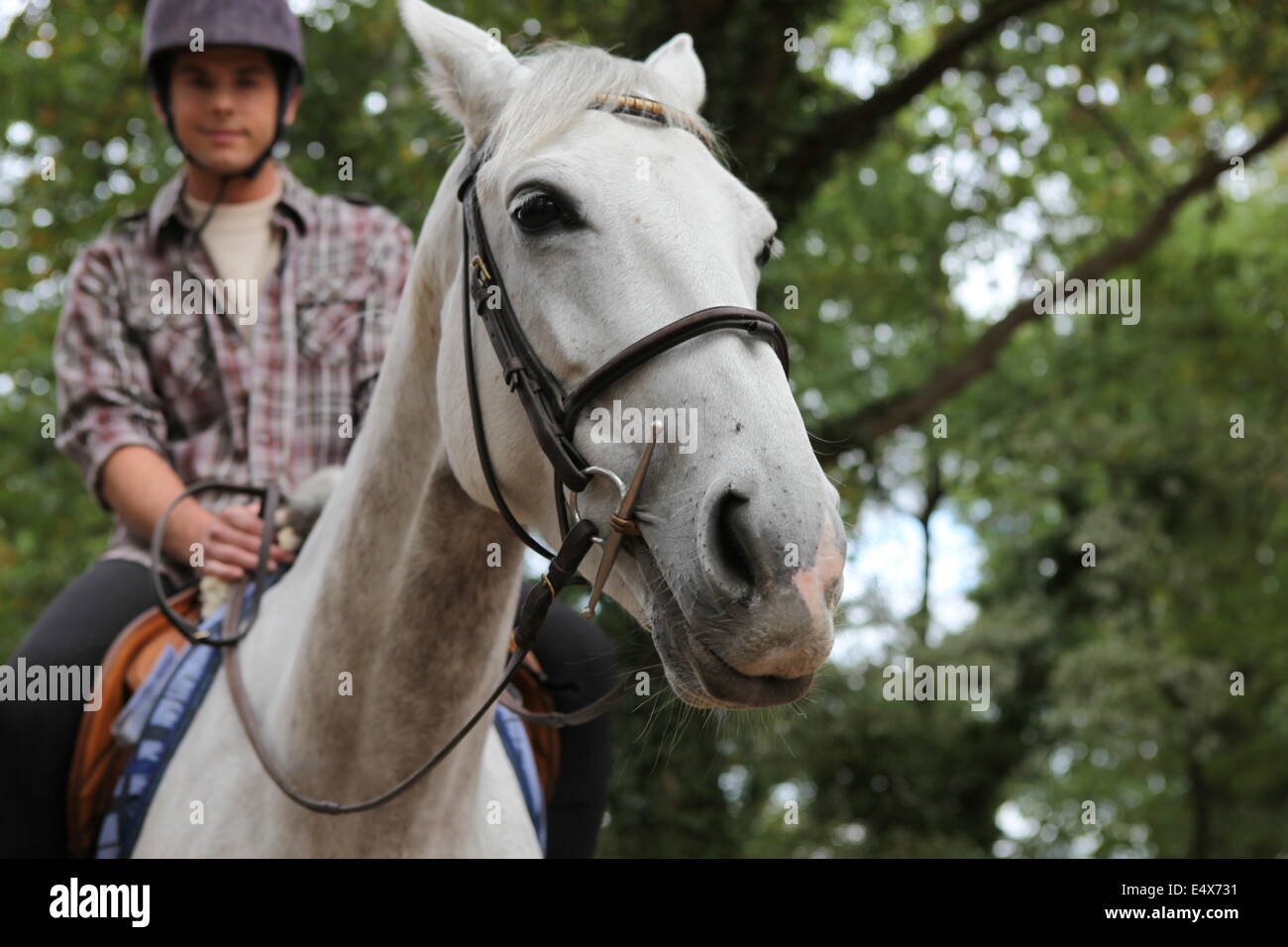 L'homme sur le cheval Banque de photographies et d’images à haute ...