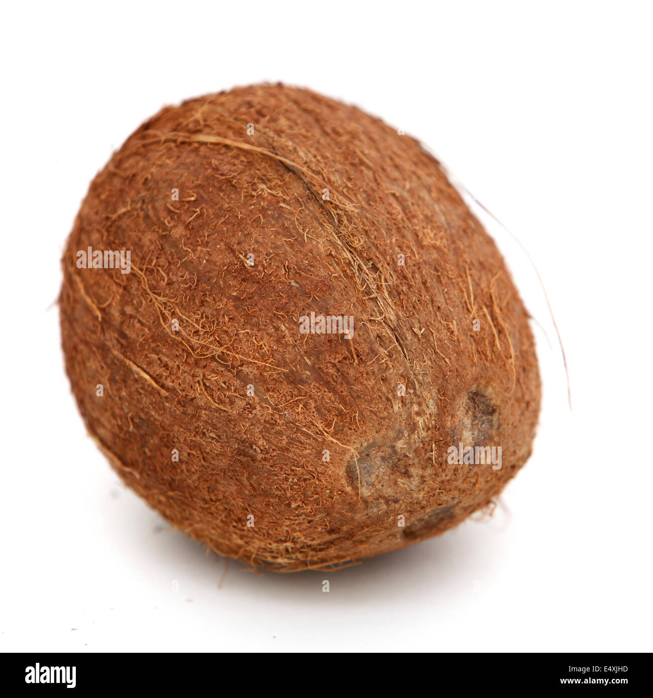 Coconut drupe Banque de photographies et d’images à haute résolution ...