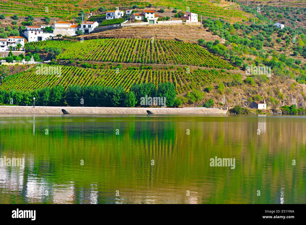 Douro line Banque de photographies et d’images à haute résolution - Alamy