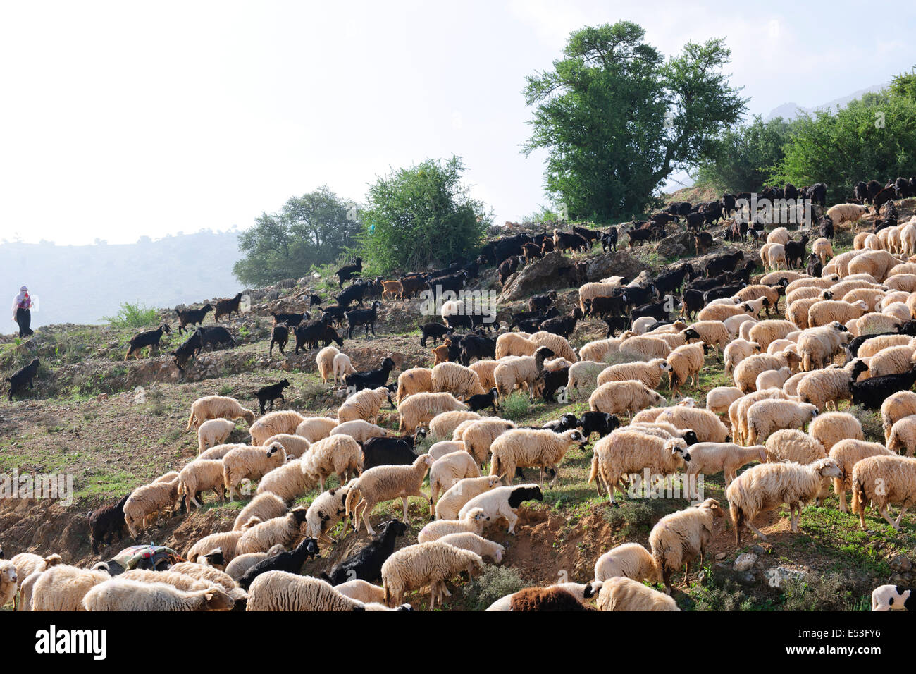 Villes et villages au maroc Banque de photographies et d’images à haute ...