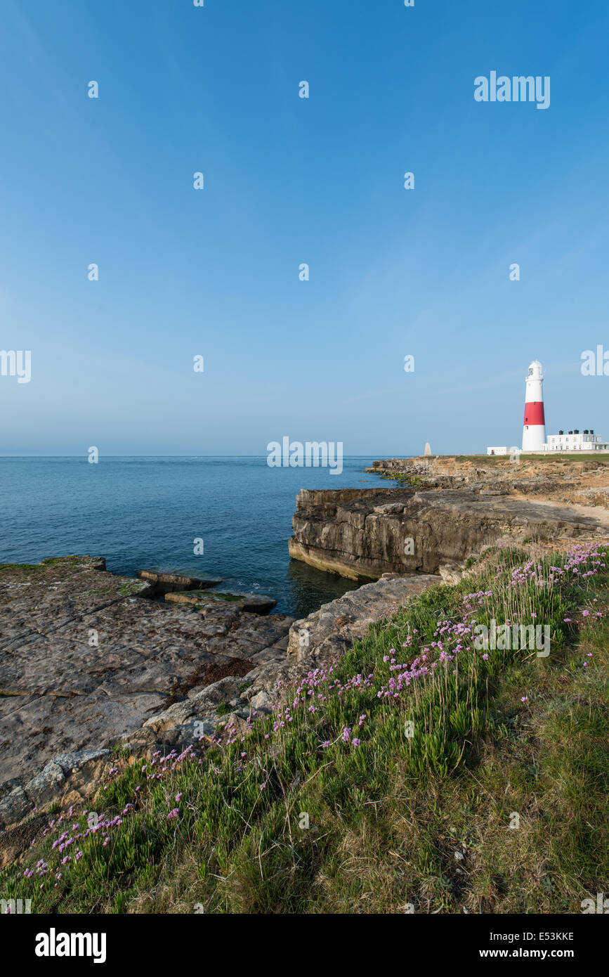 Portland bill Banque de photographies et d’images à haute résolution ...