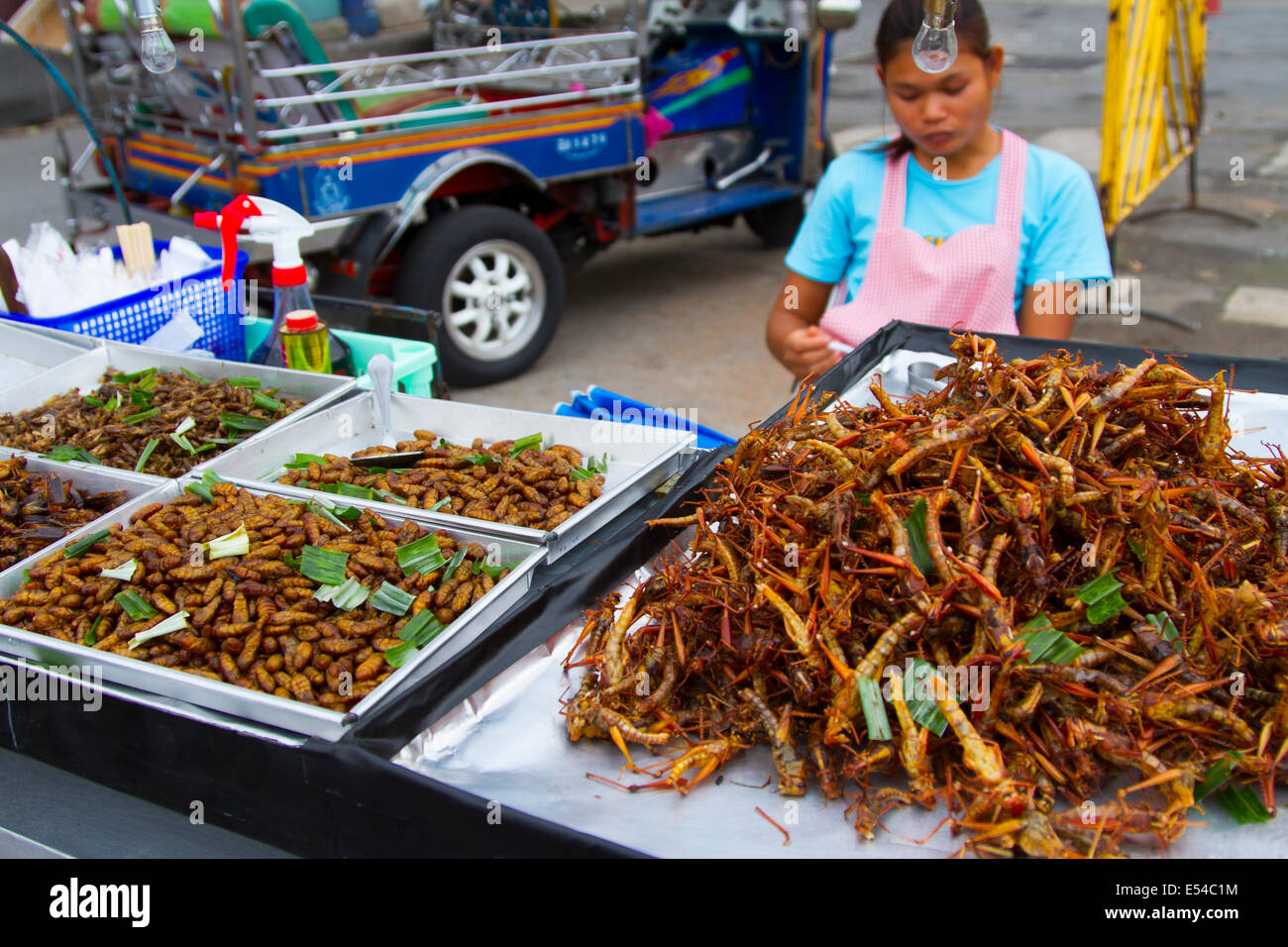 Nourriture pour insectes Banque de photographies et d’images à haute ...