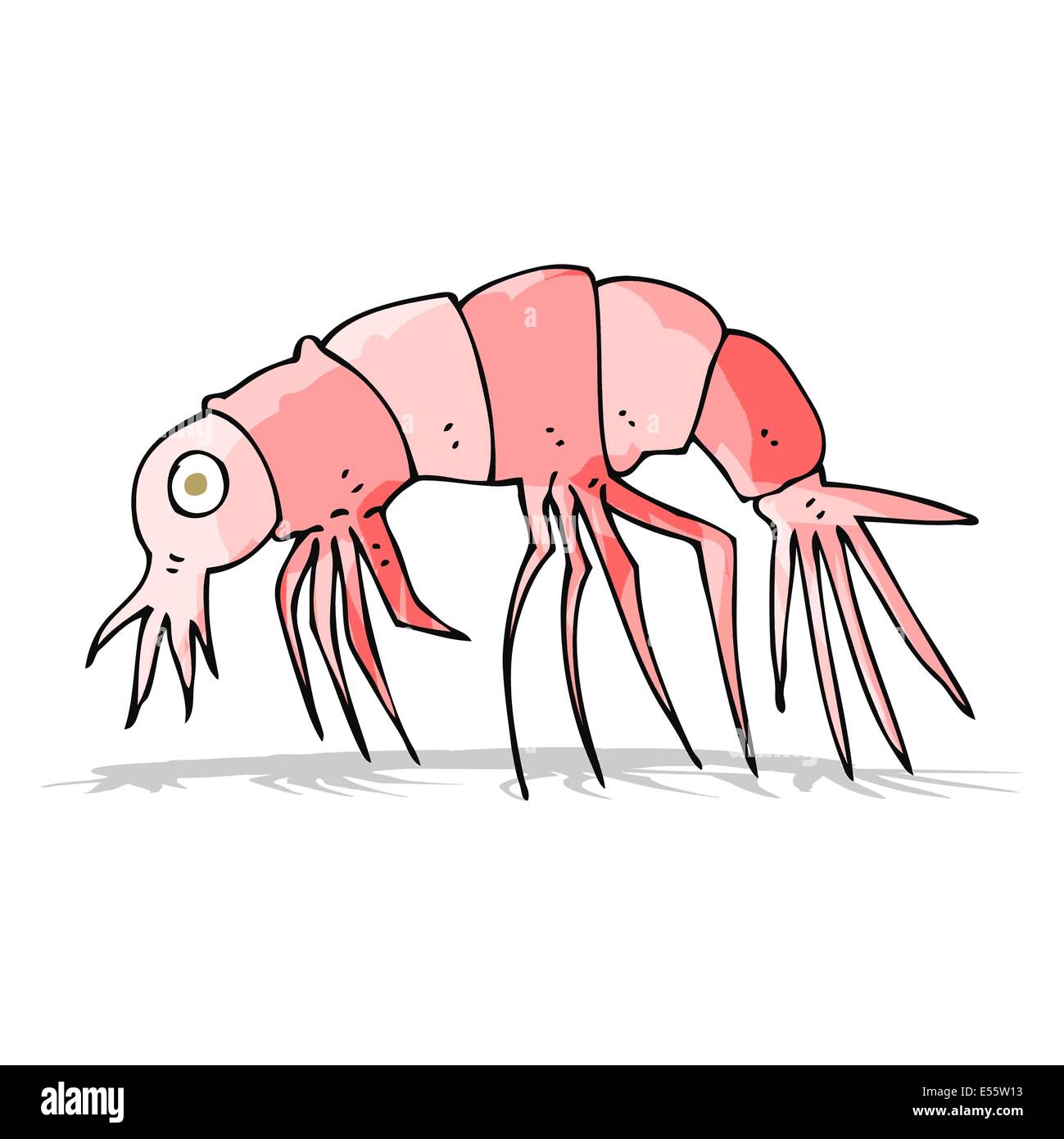 Dessin Animé Crevette Image Vectorielle Stock Alamy