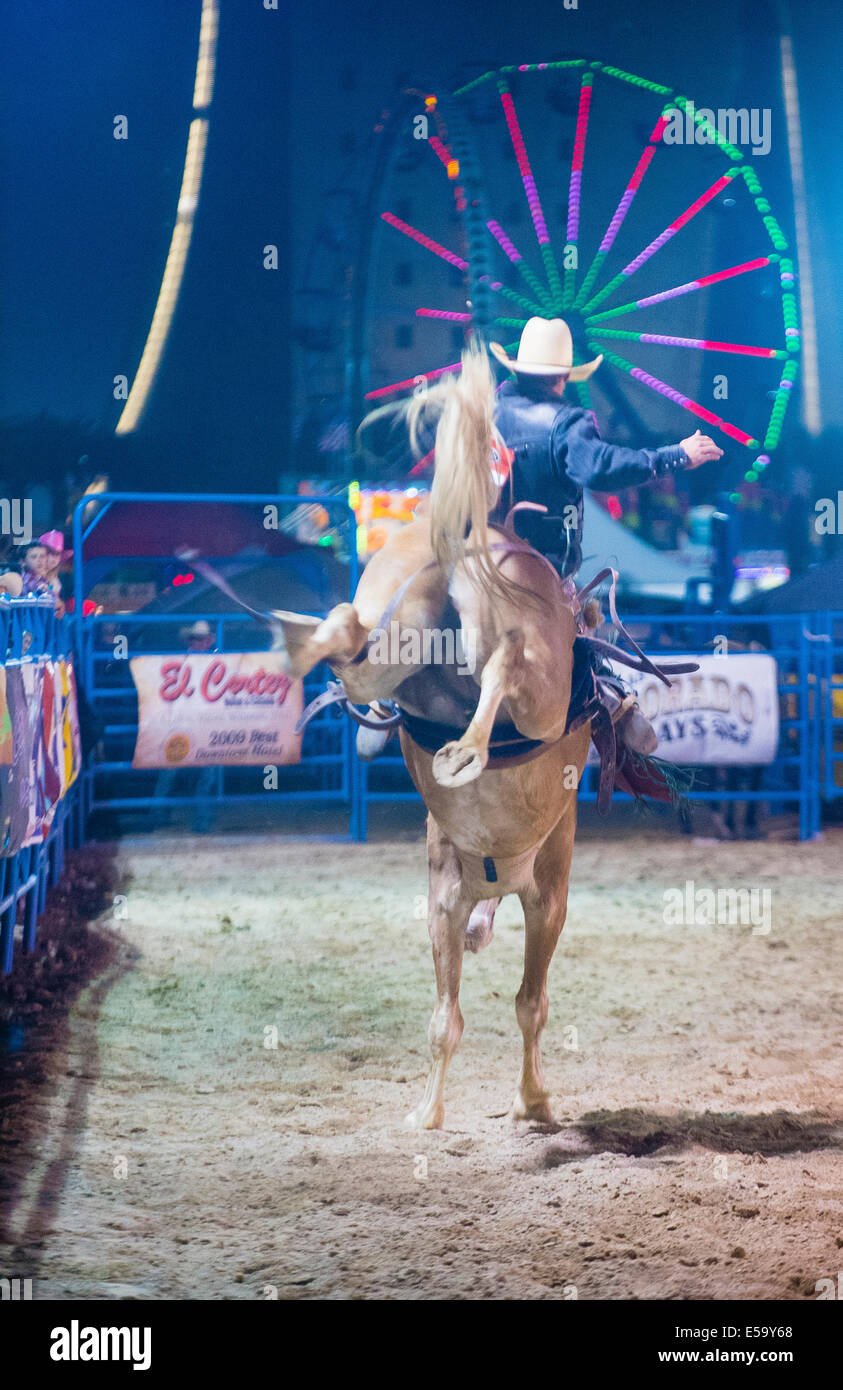Cowboy participant à une compétition à cheval le Helldorado days , un ...