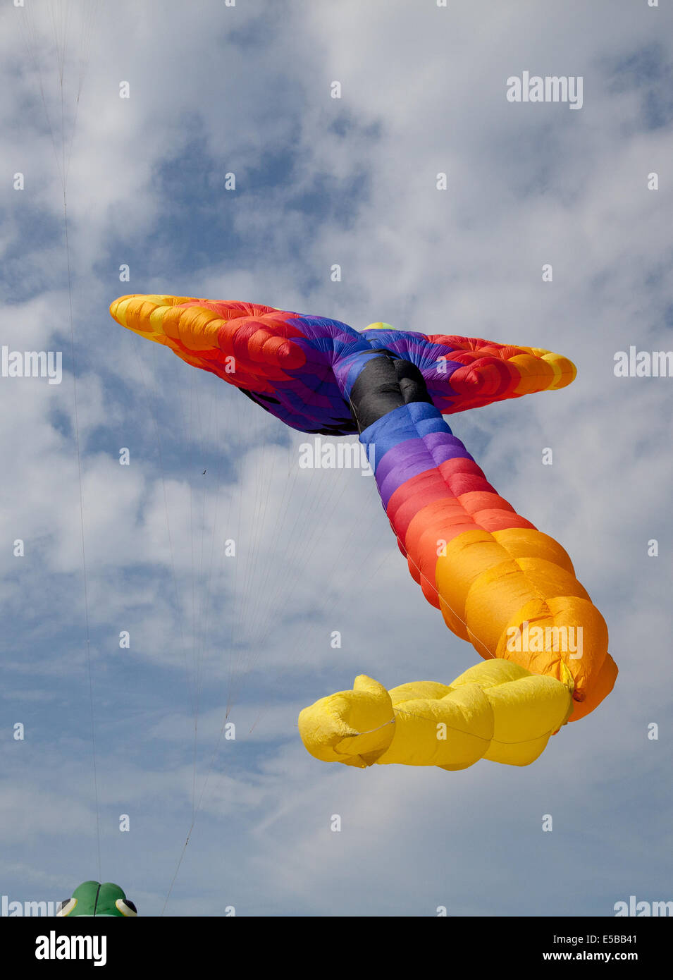 Cerf volant raie manta Banque de photographies et d’images à haute ...