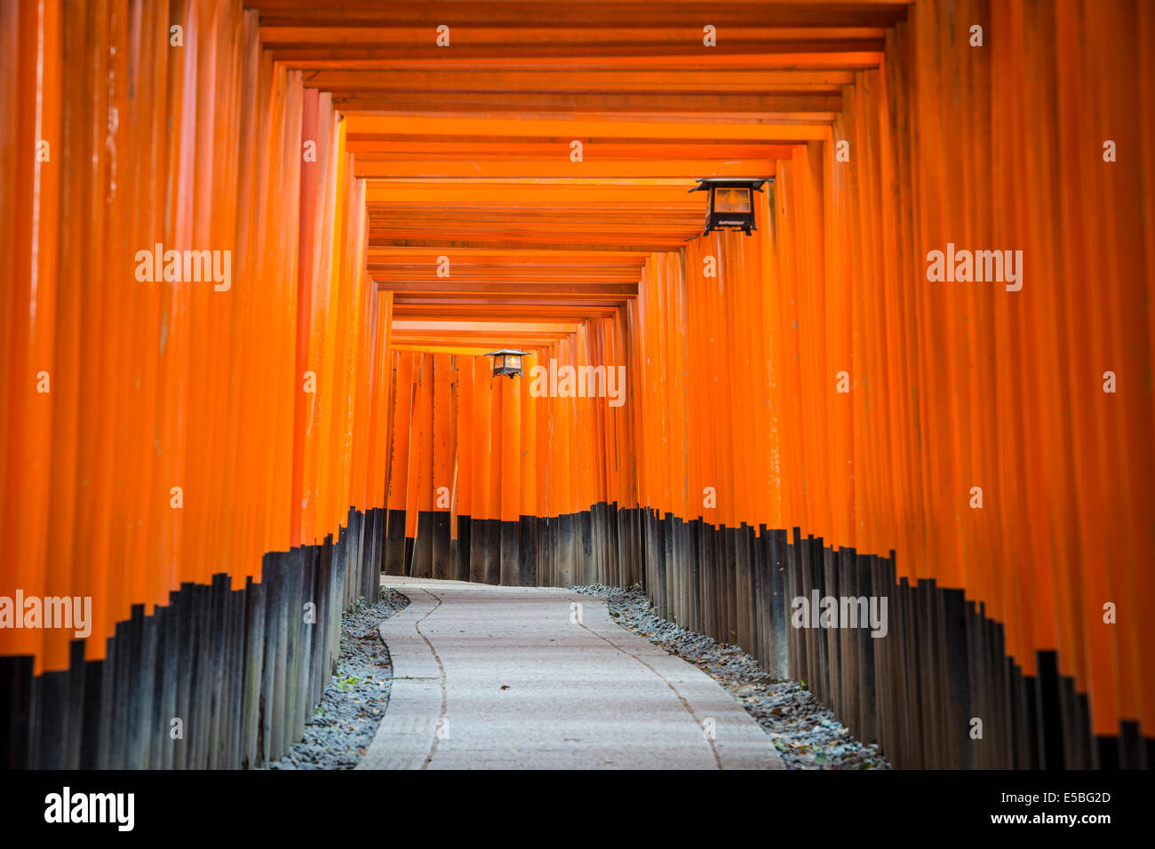 Kyoto japon shinto porte torii rouge Banque de photographies et d ...