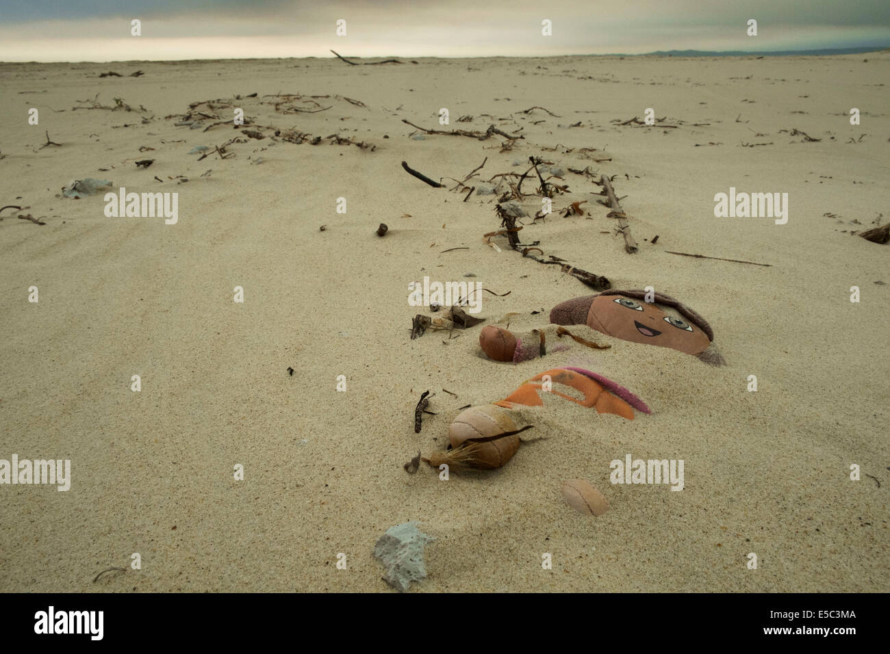 Dora the explorer doll Banque de photographies et d’images à haute ...