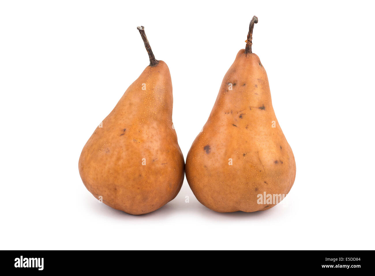 Poire bosc Banque de photographies et d’images à haute résolution - Alamy