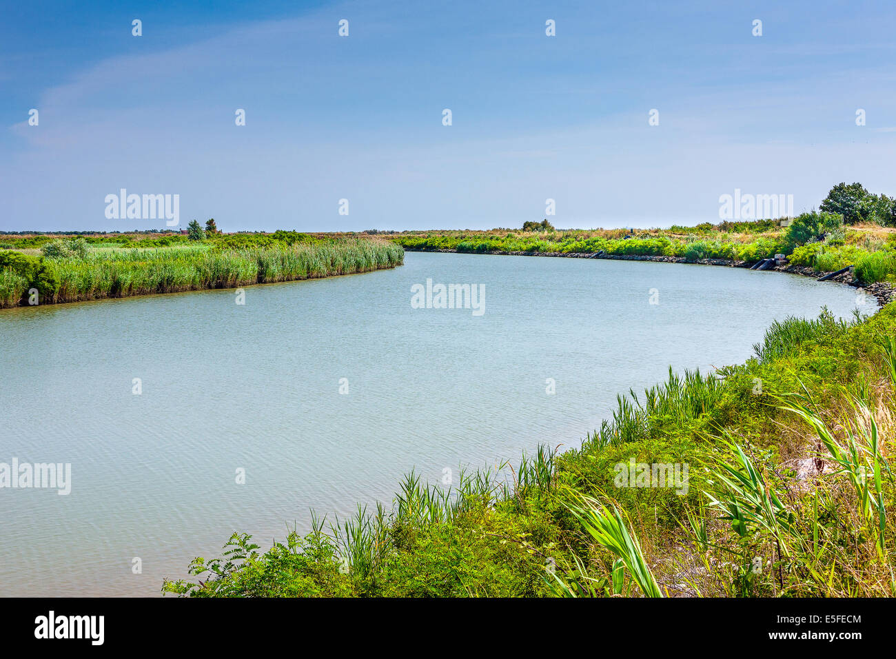 The po delta Banque de photographies et d’images à haute résolution - Alamy