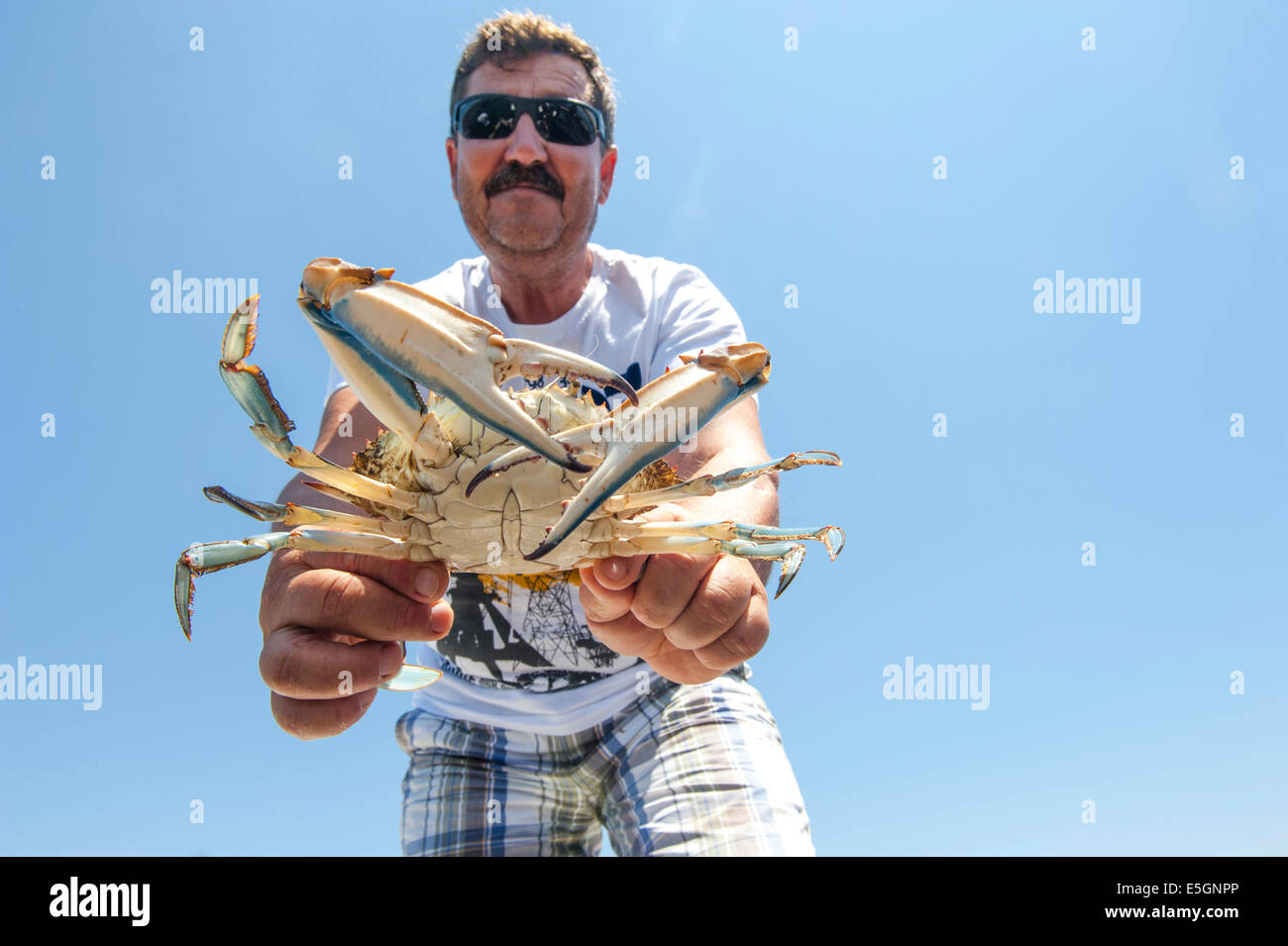 Dalyan crab Banque de photographies et d’images à haute résolution - Alamy