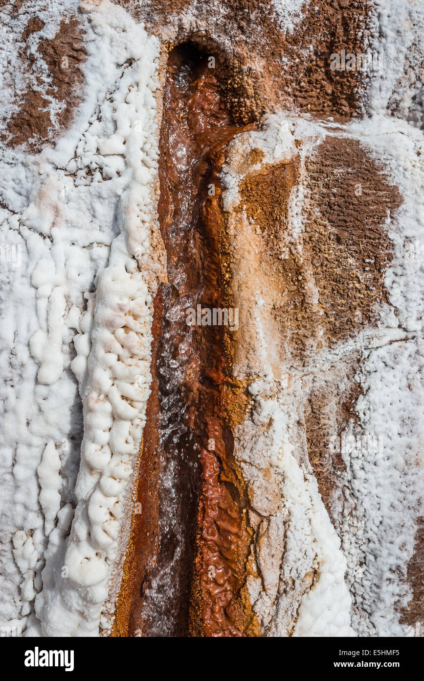 Mines de sel de Maras dans les Andes péruviennes à Cuzco au Pérou Photo ...