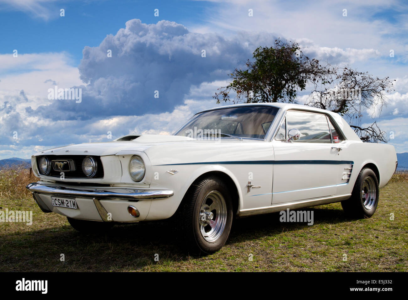 Ford mustang Banque de photographies et d’images à haute résolution - Alamy