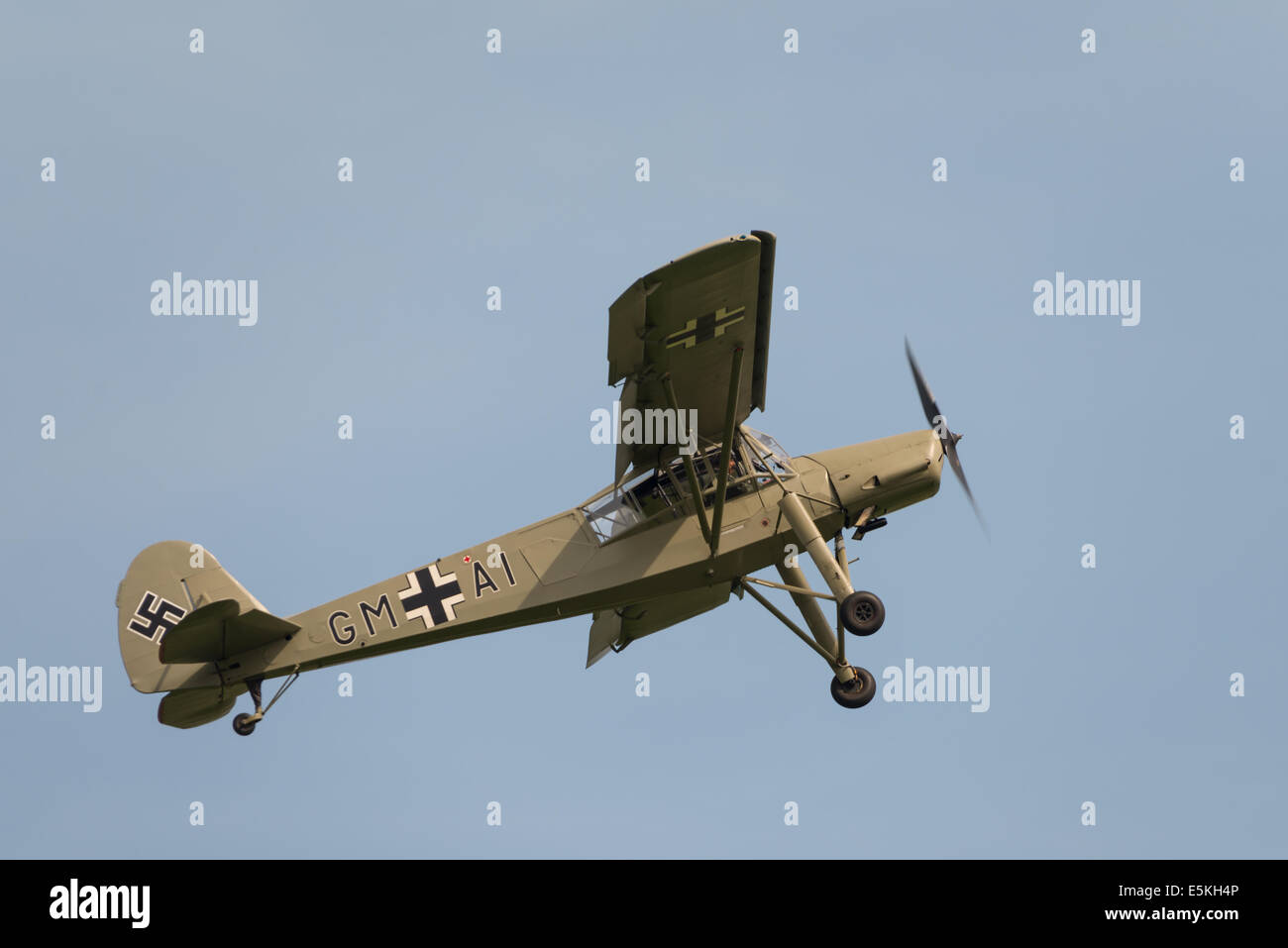 Fieseler storch stork Banque de photographies et d’images à haute ...