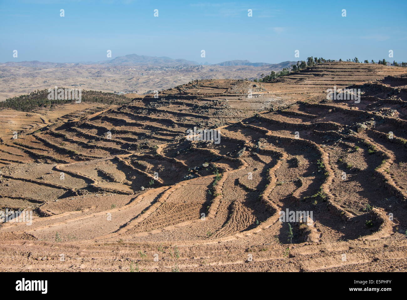 érythrée agriculture Banque de photographies et d’images à haute ...