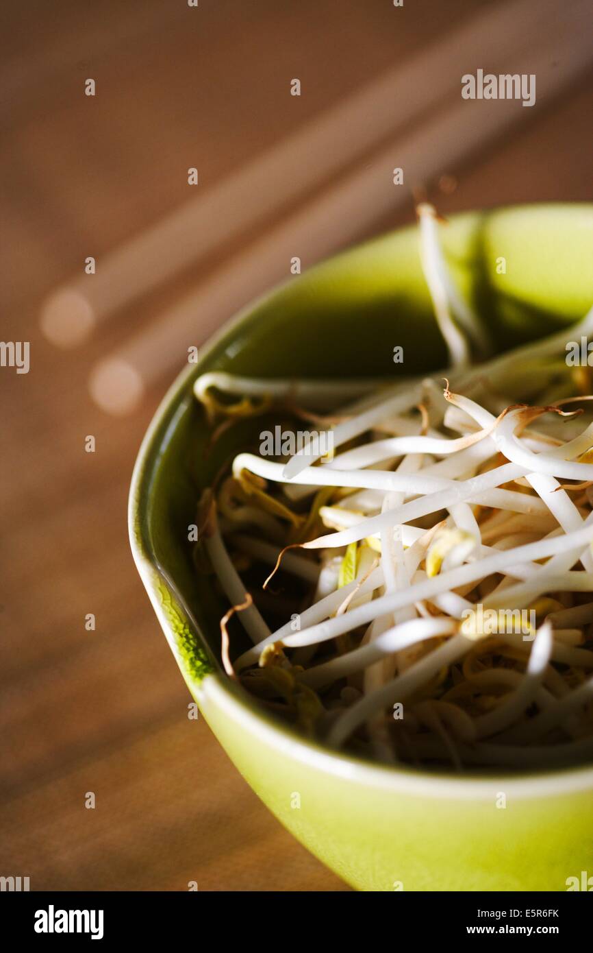 Graine de soja Banque de photographies et d’images à haute résolution ...