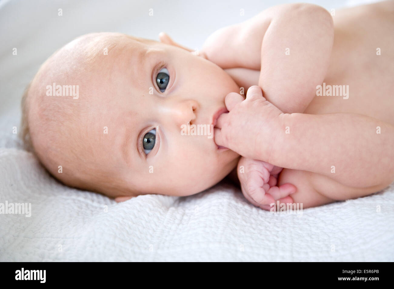 3 month old Banque de photographies et d’images à haute résolution - Alamy