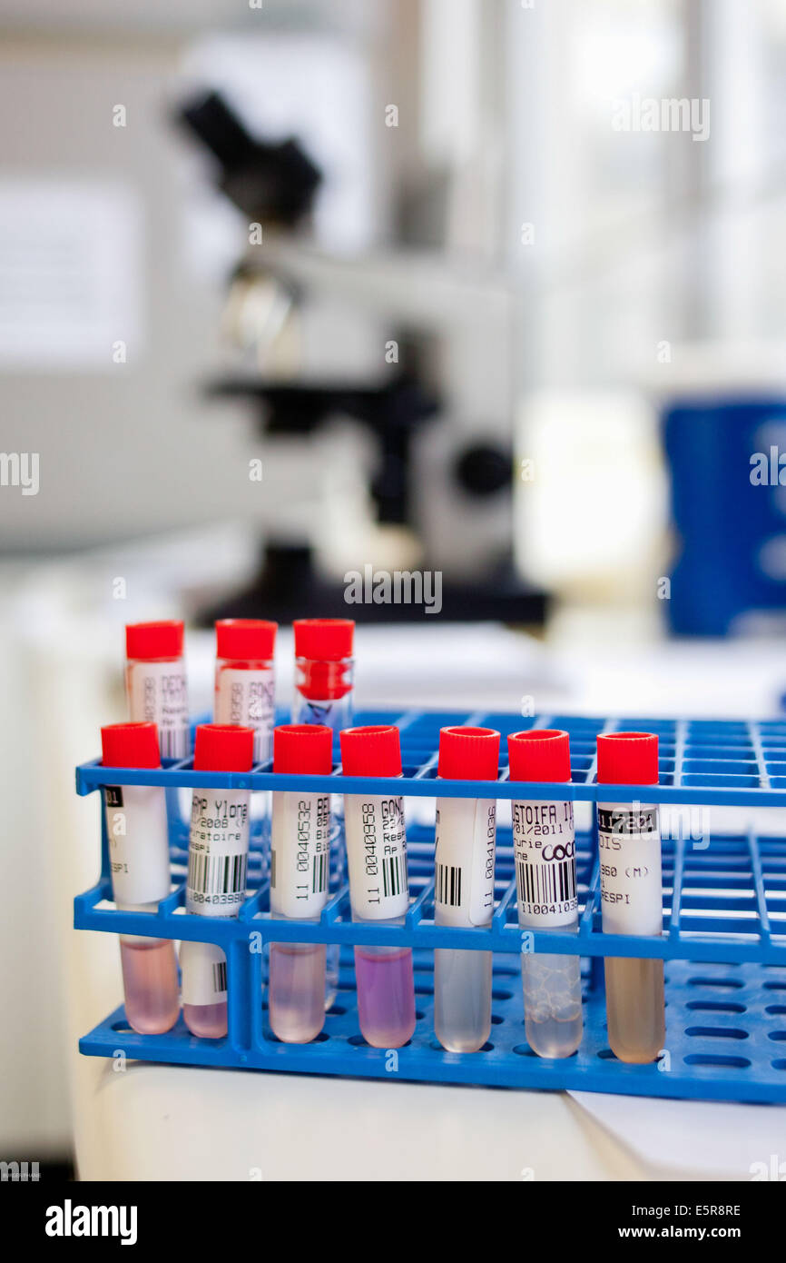 Biologie microbiologie virologie Banque de photographies et d’images à ...