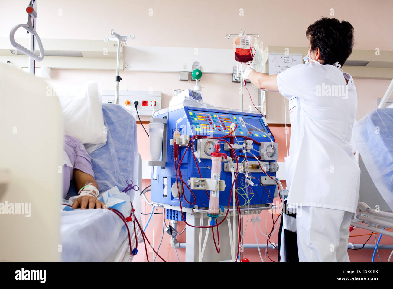 Transfusion de sang de patients anémiques pendant une séance d ...
