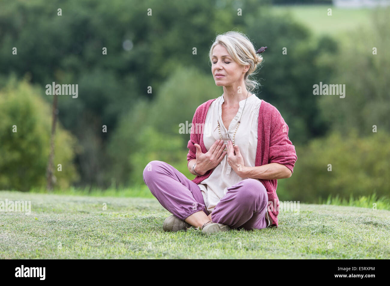 Plexus coeliaque Banque de photographies et d’images à haute résolution ...