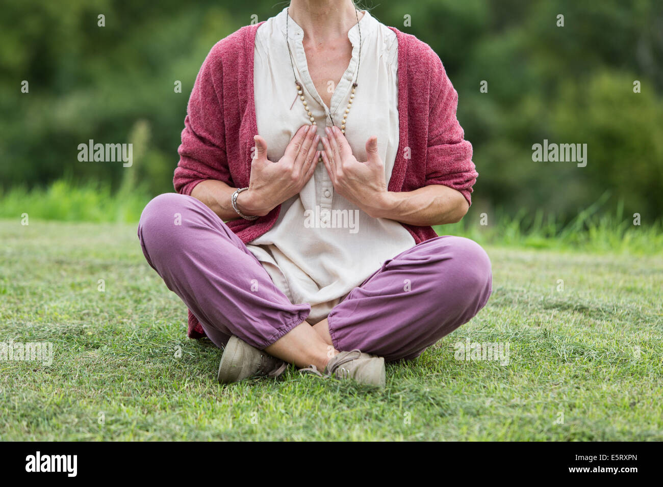 Plexus coeliaque Banque de photographies et d’images à haute résolution ...